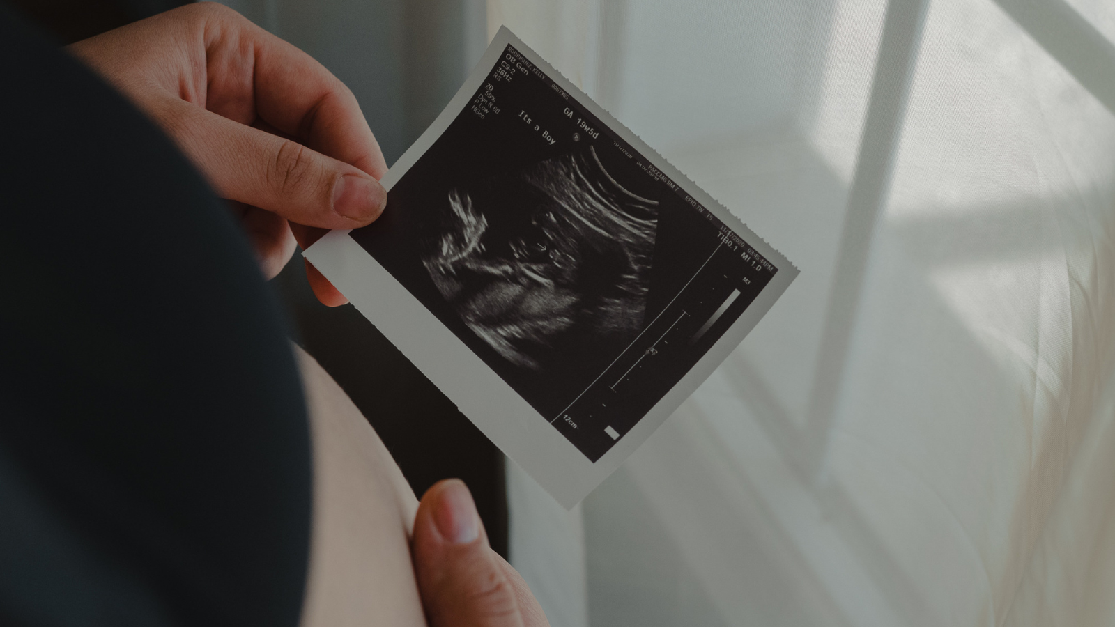 Trimester-by-Trimester Fetal Development - Preggy & Beyond